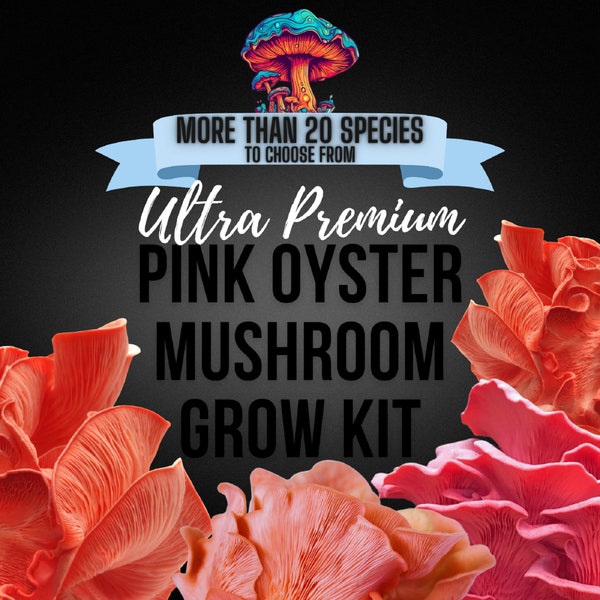 Mushroom Grow Kit Etsy