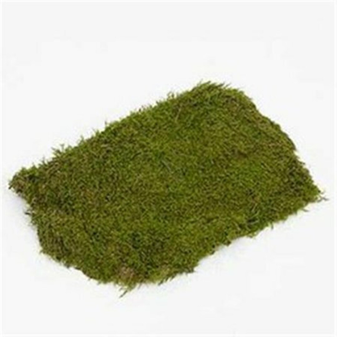 Dried Sheet Moss Moss Wreath Live Moss Terrarium Decor Home Terrarium ...
