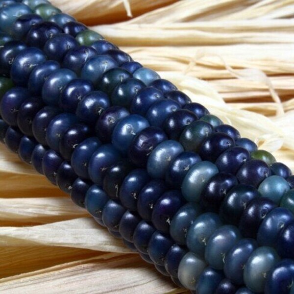 Glass Gem Corn - Etsy Canada