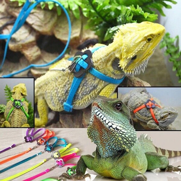 Reptile - Etsy