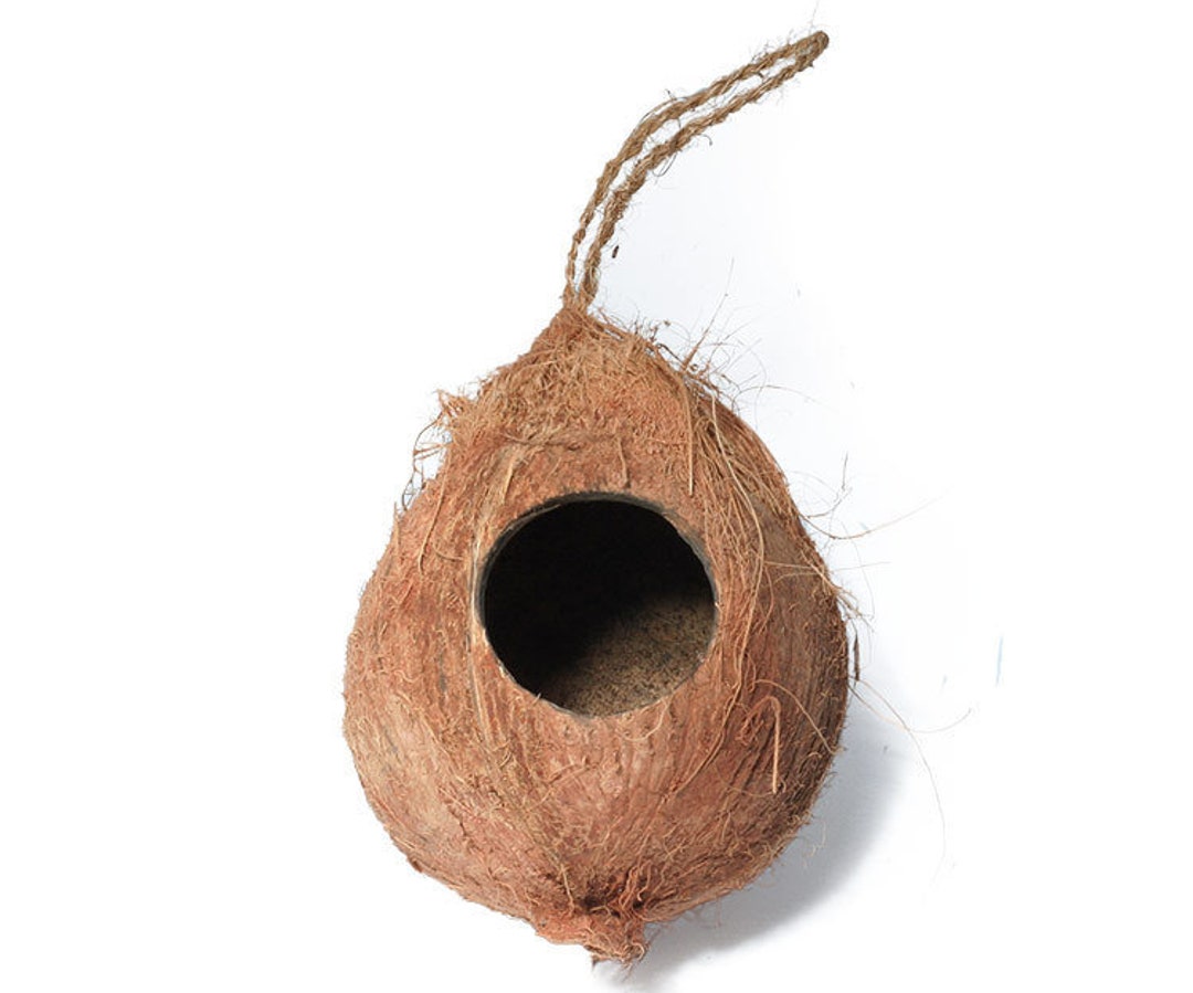 Hanging Coconut Hides Naturalistic Reptile Hiding Place - Etsy