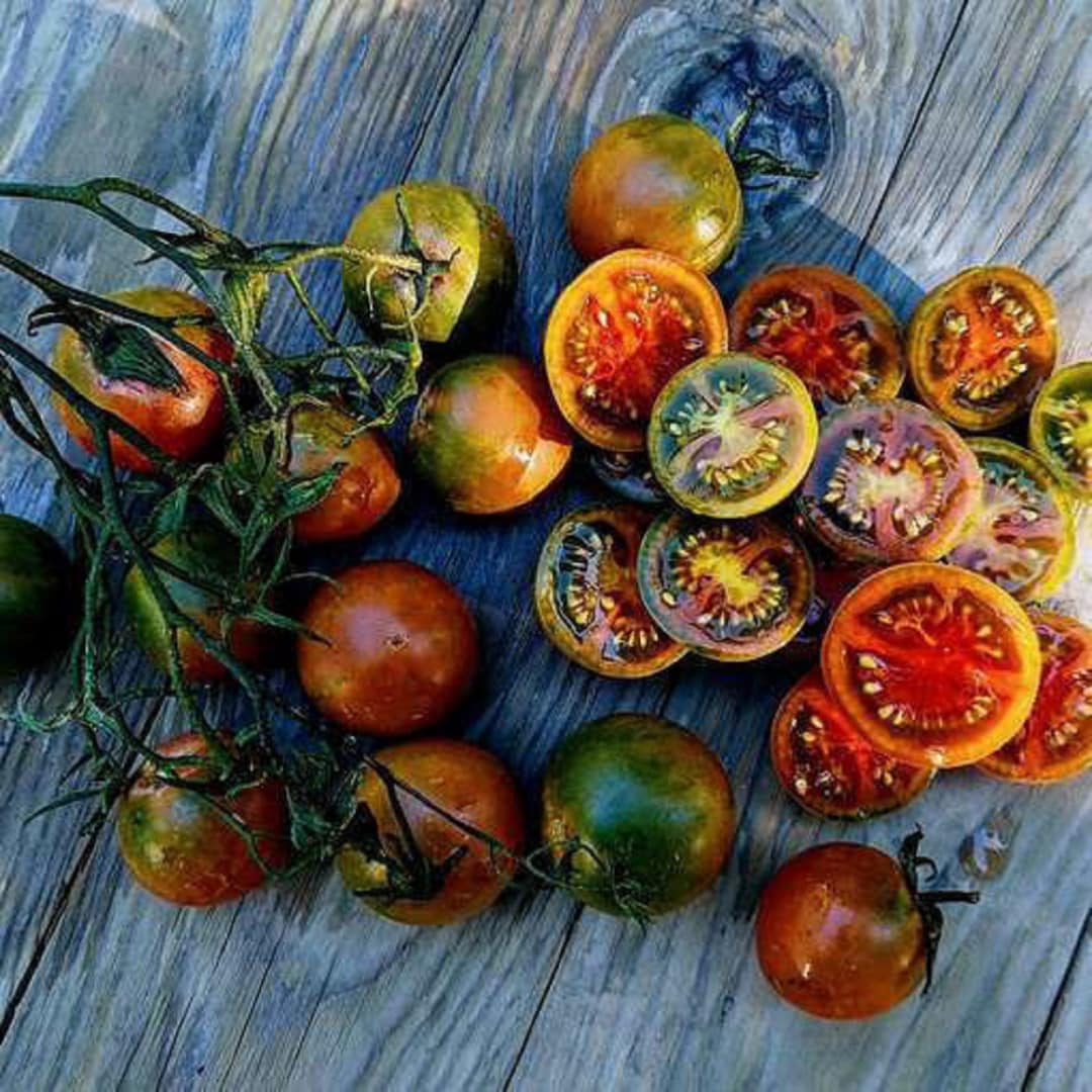 Evil Olive Tomato Solanum Lycopersicum Rare Heirloom - Etsy UK