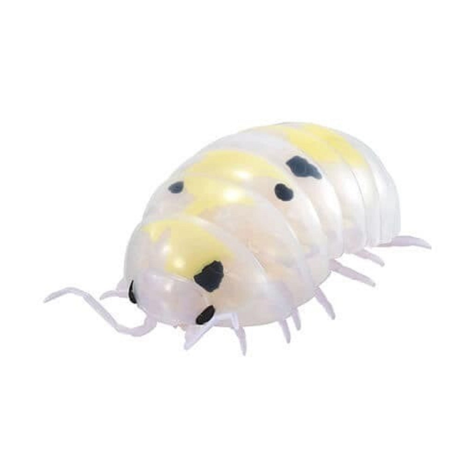 Japanese Isopod Toy Bandai Dangomushi 07 Gashapon Capsule - Etsy