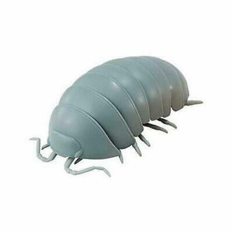 Japanese Isopod Toy Bandai Dangomushi 02 Gashapon Capsule | Etsy