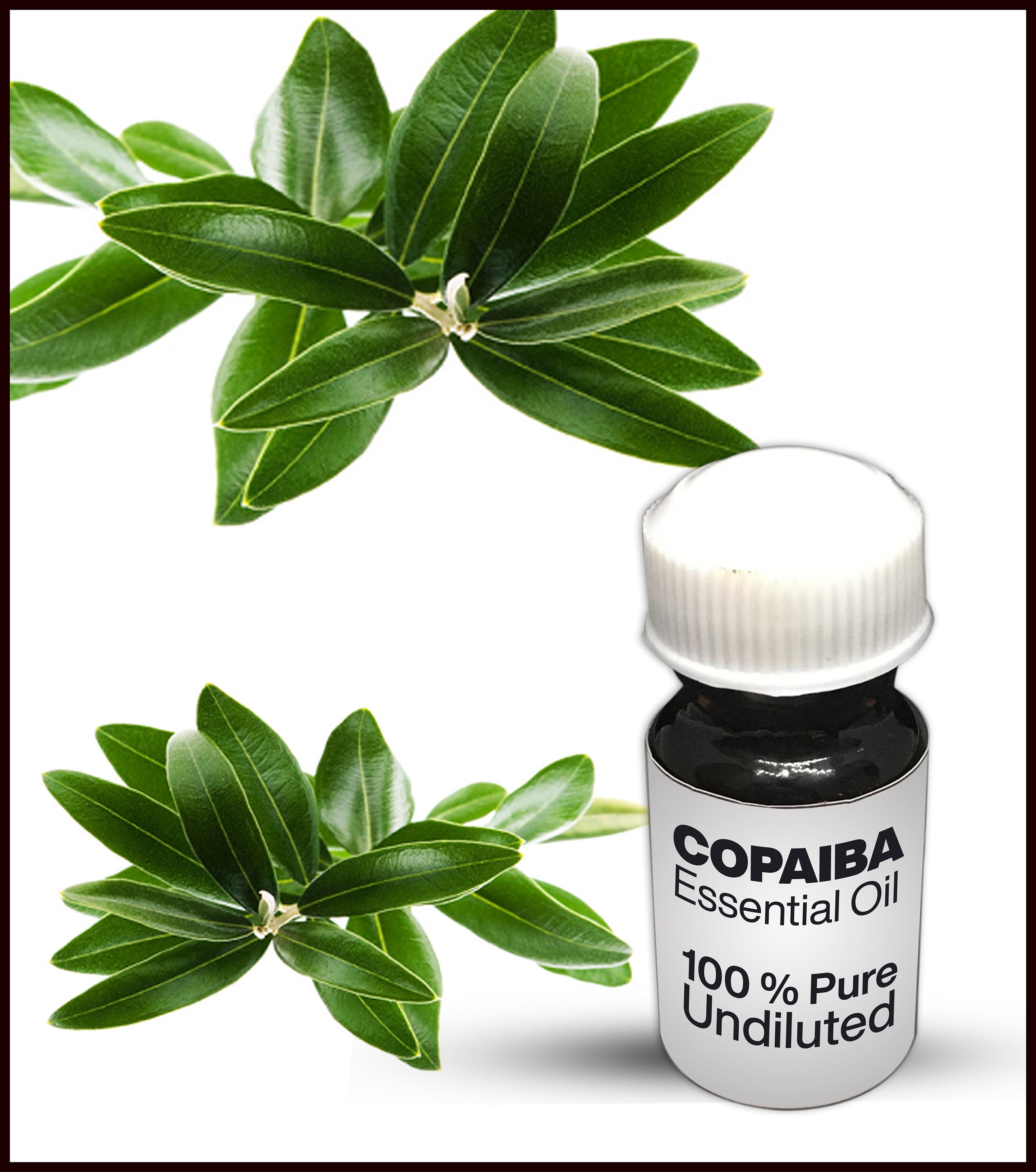 Natural Copaiba Oil / 100% Pure Copaiba Essential Oil Premium - Etsy