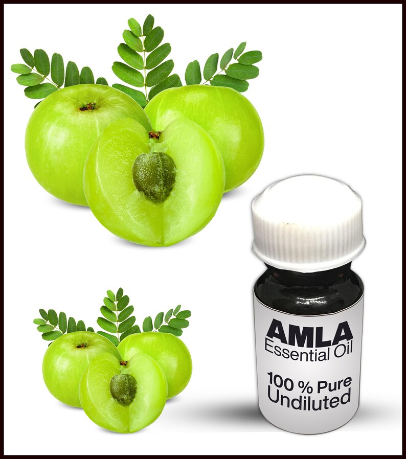 Natural Amla Oil / 100% Pure Amla Essential Oil Premium High - Etsy
