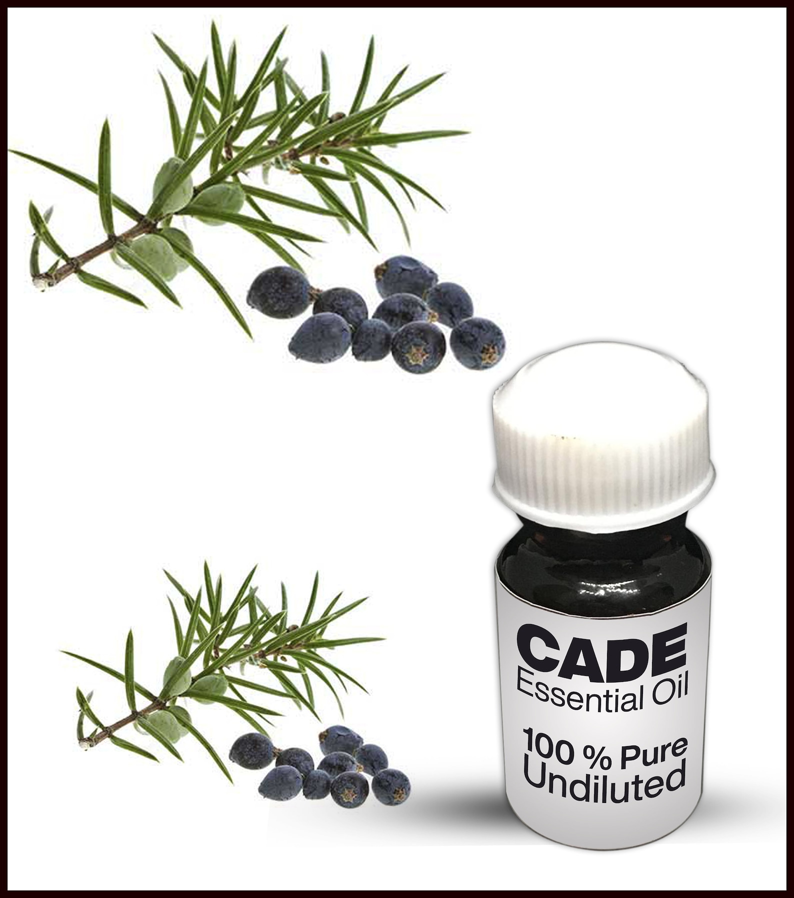 Buy Natural Cade Oil / 100% Pure Cade Essential Oil Premium High ...