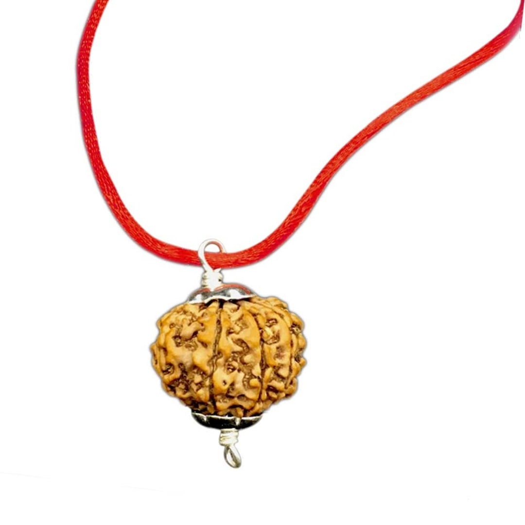10 Mukhi Rudraksha / Ten Face Pendant Nepal 28mm-30mm Lab - Etsy