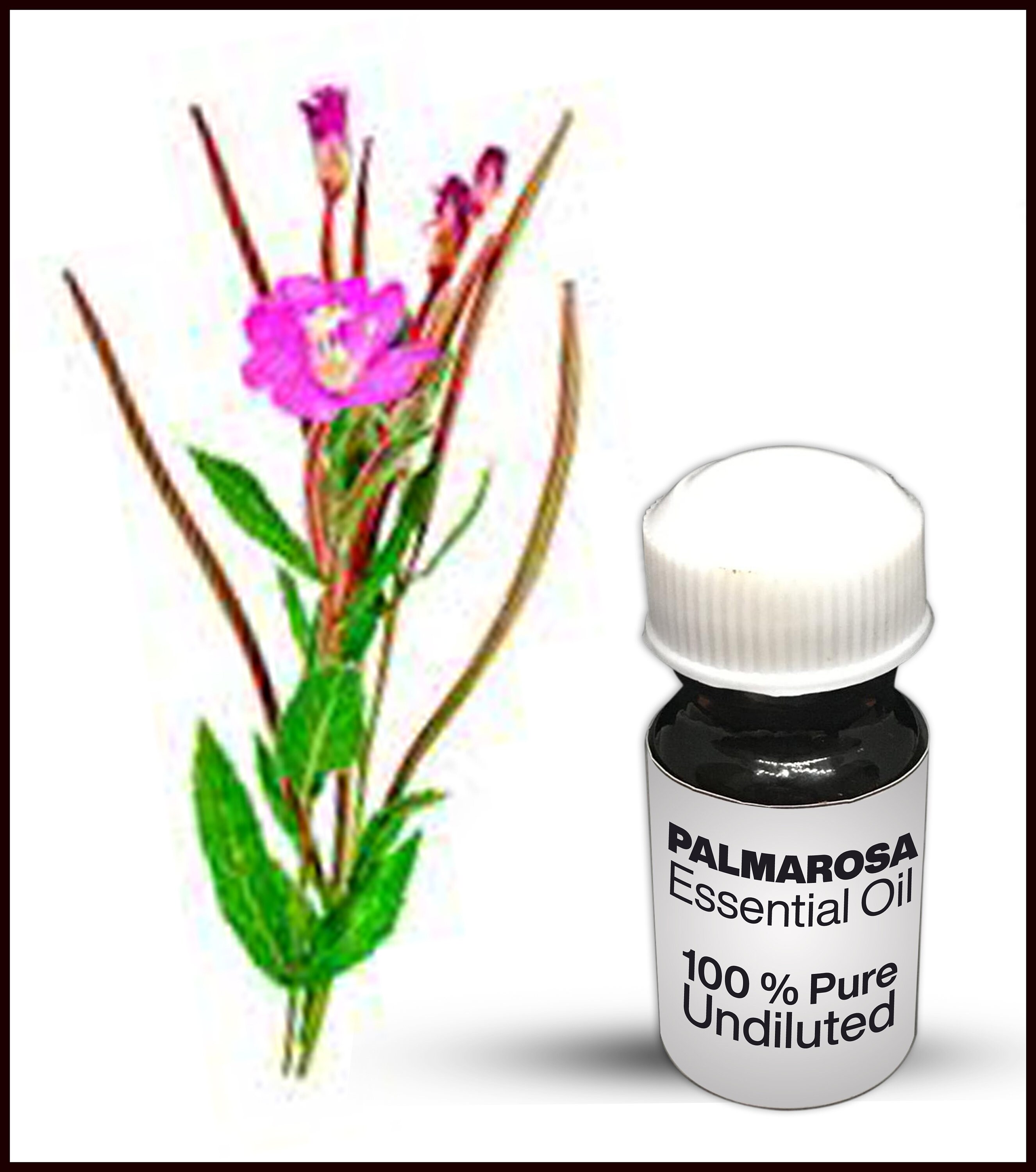 Palmarosa Flower