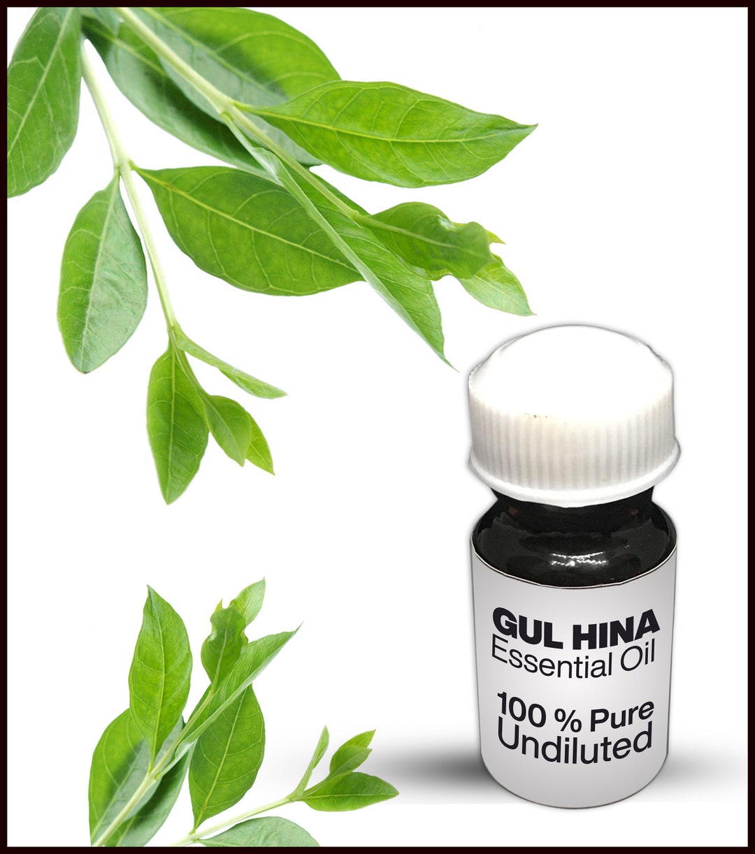 Natural Gul Hina Oil / 100% Pure Gul Hina Essential Oil - Etsy UK