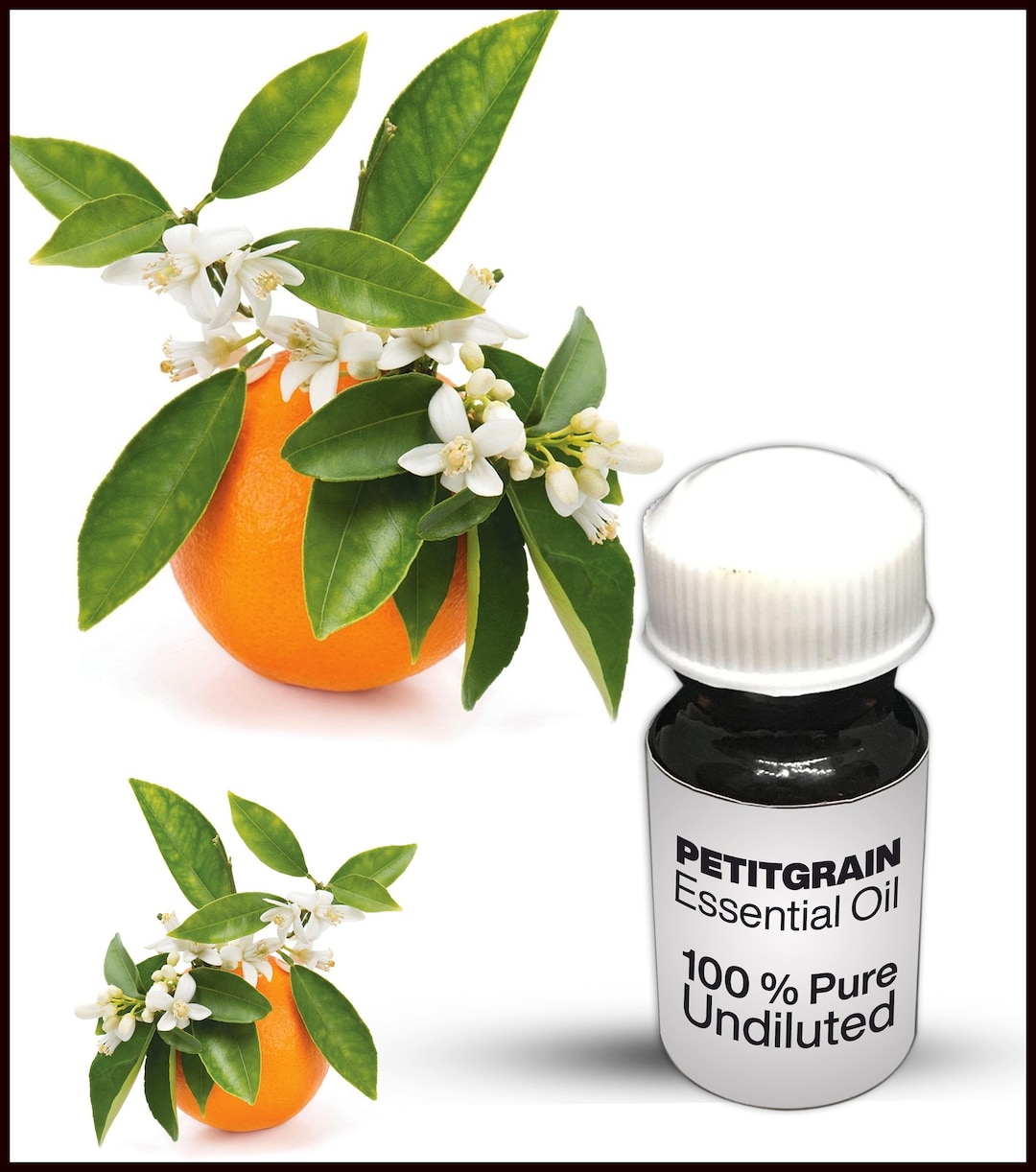 Natural Petitgrain Oil / 100% Pure Petitgrain Essential Oil Premium ...