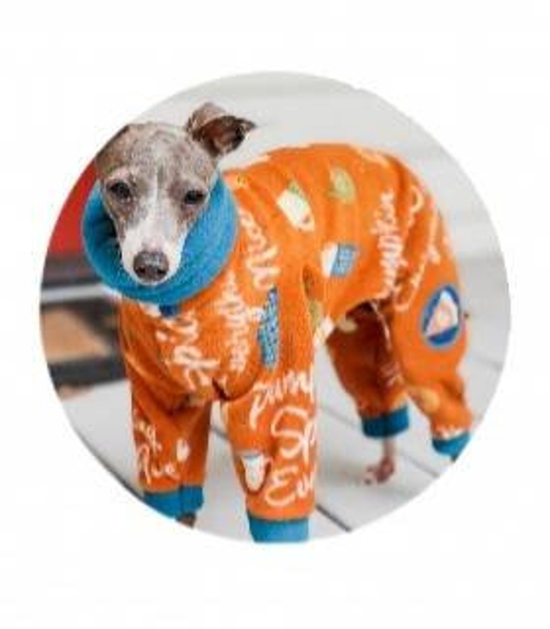 Custom Italian Greyhound Fall Fleece Pjs - Etsy UK