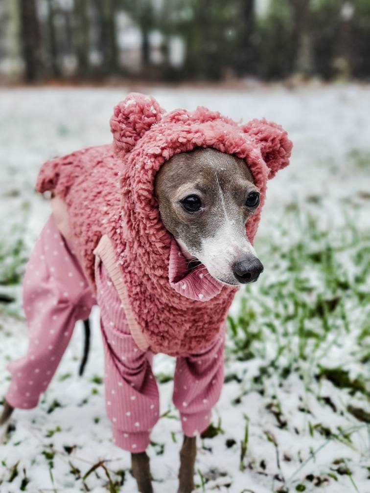 Italian Greyhound Rib Knit Pjs | Etsy