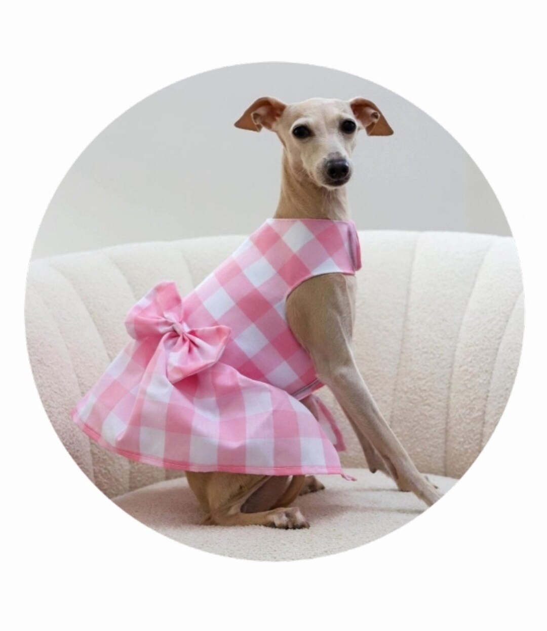 Custom Italian Greyhound Harness Dresses and Tops - Etsy