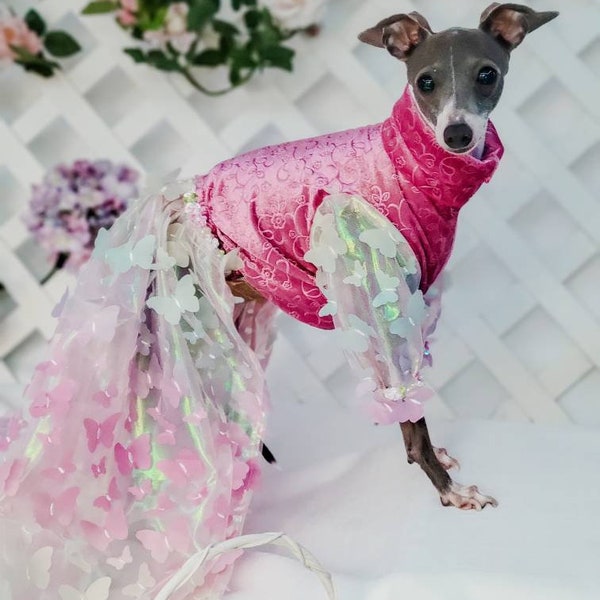 Italian Greyhound Dresses - Etsy