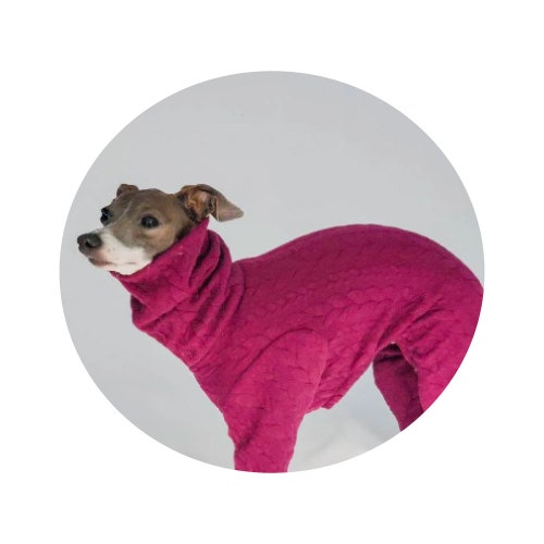 Italian Greyhound Rib Knit Pjs - Etsy