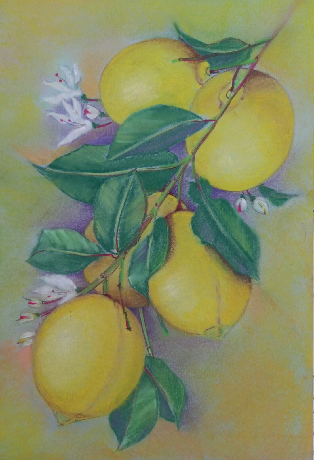 Lemons pastel painting Lemons Artwork Juicy fruits painting | Etsy