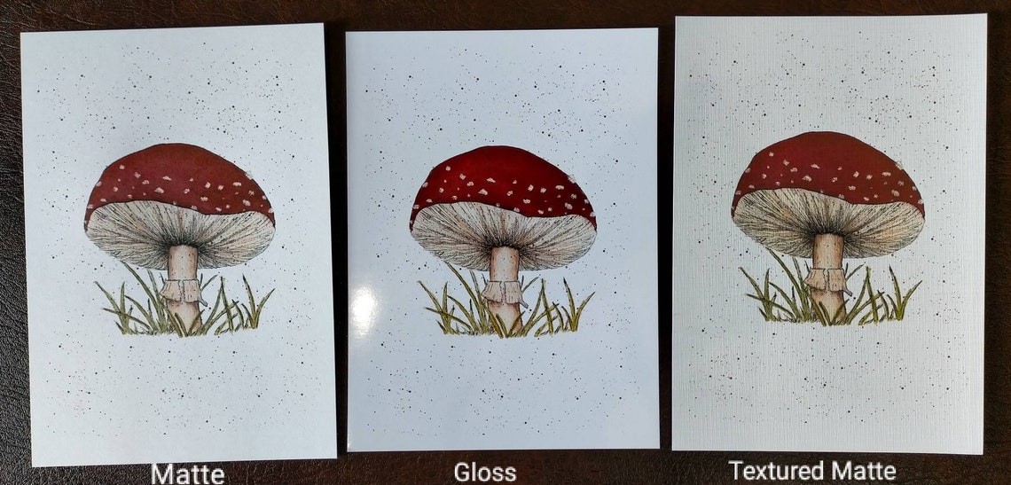 Red Toadstool Amanita Muscaria Watercolour Print Etsy