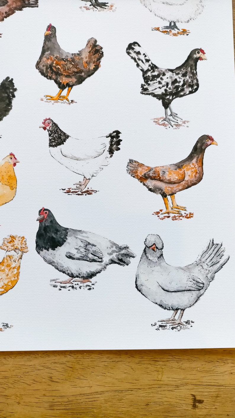 Happy Hens 12 Unique Chicken Paintings Farmyard Charm Illustrated ...