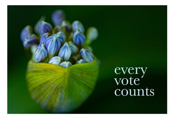 50 Vote Postcards: Every Vote Counts - Etsy