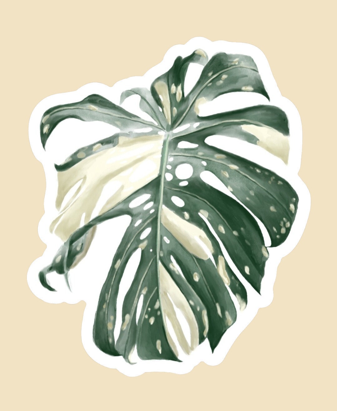 Monstera Sticker/ Variegated Monstera Sticker/ Vinyl Sticker/ Plant ...