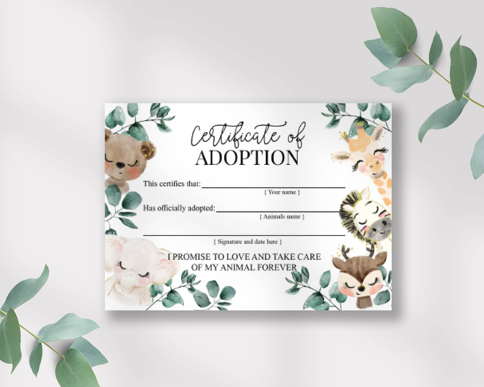 Adopt an Animal Sign Adoption Certificate Two Wild Safari Birthday ...