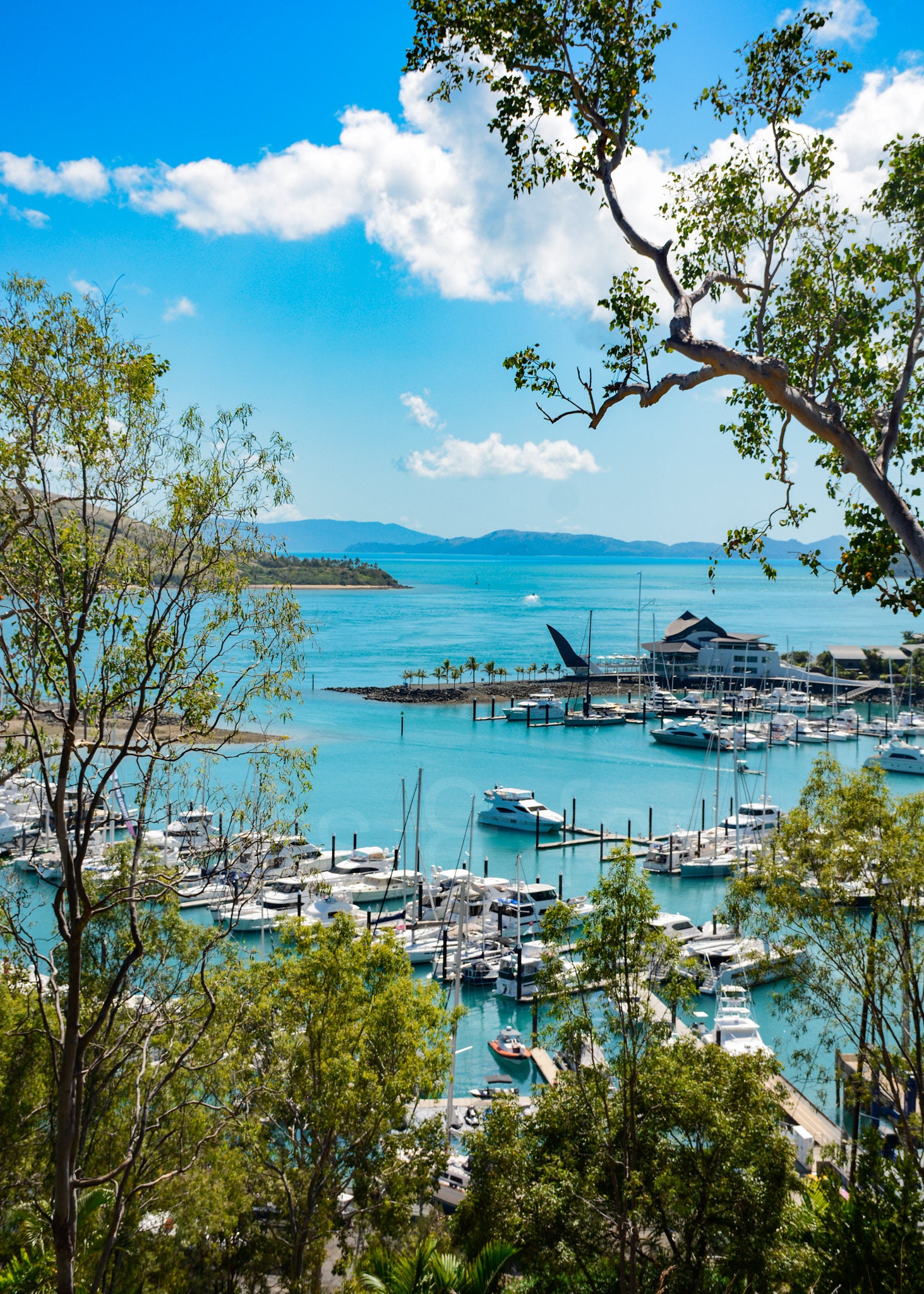 Hamilton Island Marina Australia Photography Great Barrier | Etsy