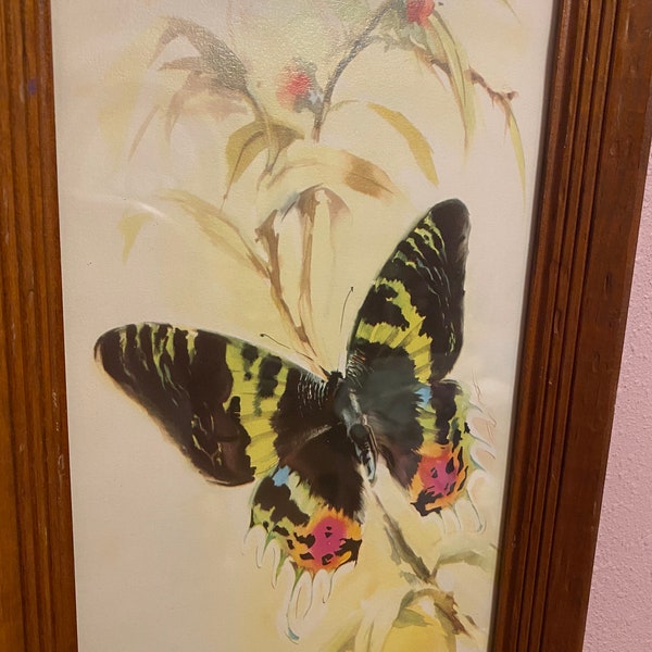 Butterfly Lithograph - Etsy