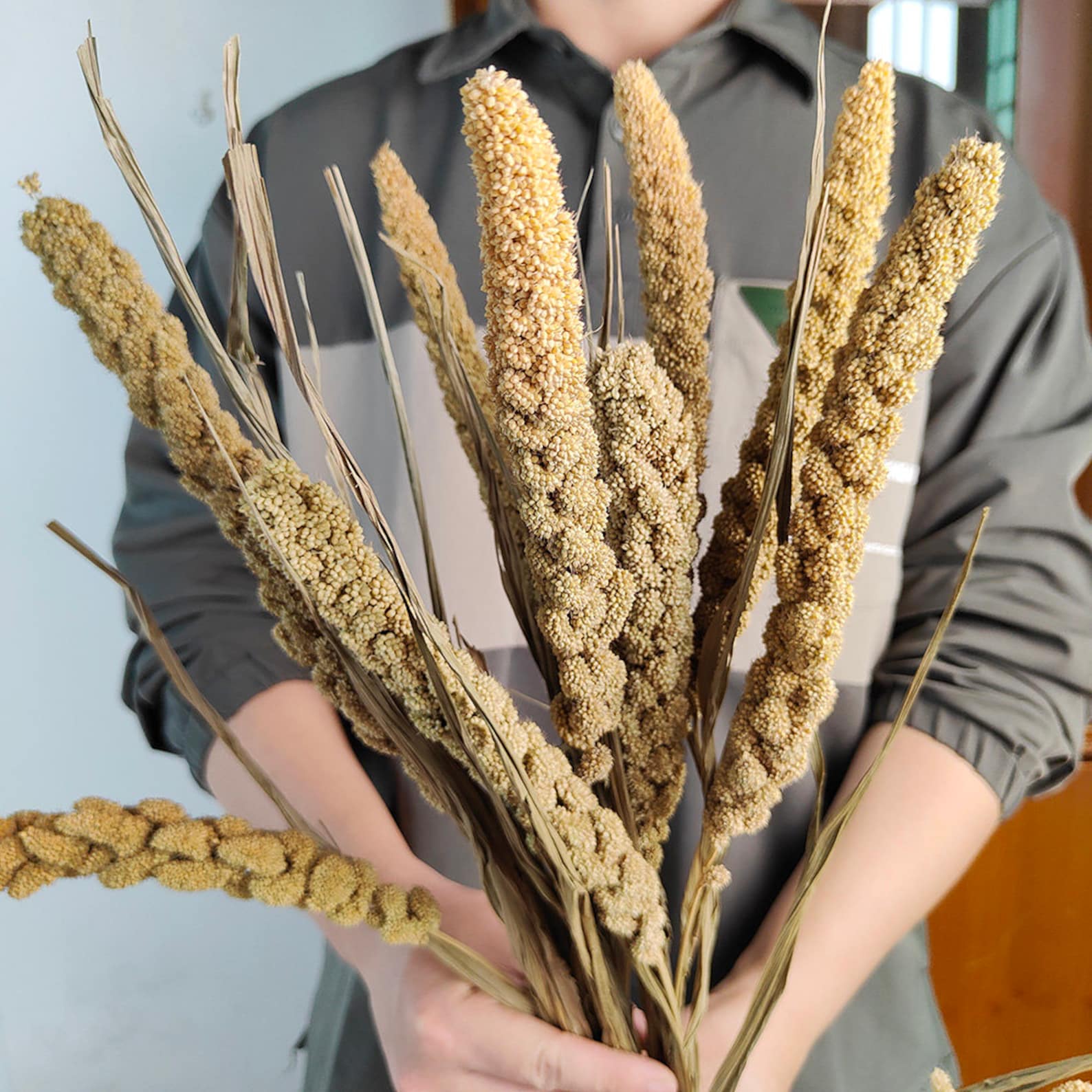 10 Stems Natural Millet Branches，millet Grain，flowers Arrangement，diy ...