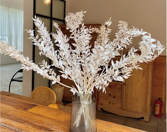 Italian Ruscus Dried - Etsy