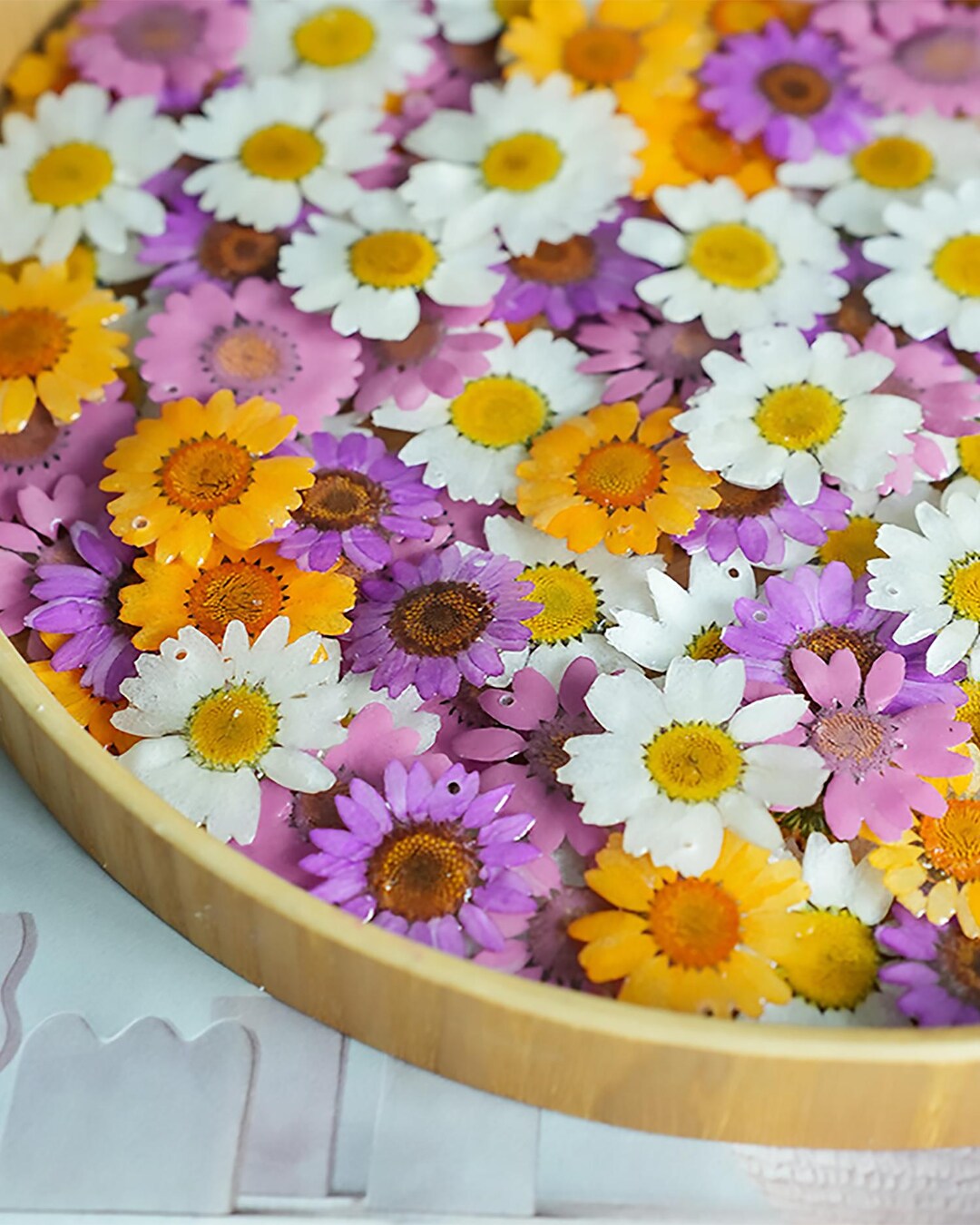 Resin Real Daisy Petal，pressed Daisy Flower Head，diy Craft Supply for ...