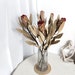 1/2/5 Dried Robin Protea Princess Flower，natural Protea Flower，dried ...
