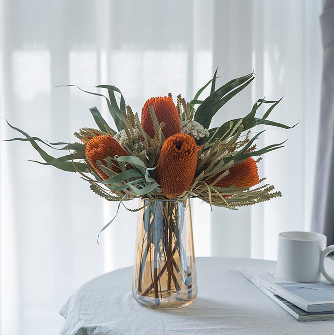 Dried Banksia Stemsnatural Protea Flowerpreserved Banksia Flowersdried ...