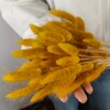 Preserved Lycopodium Grass Bundledried Grass Bunchdiy Craft Grass ...