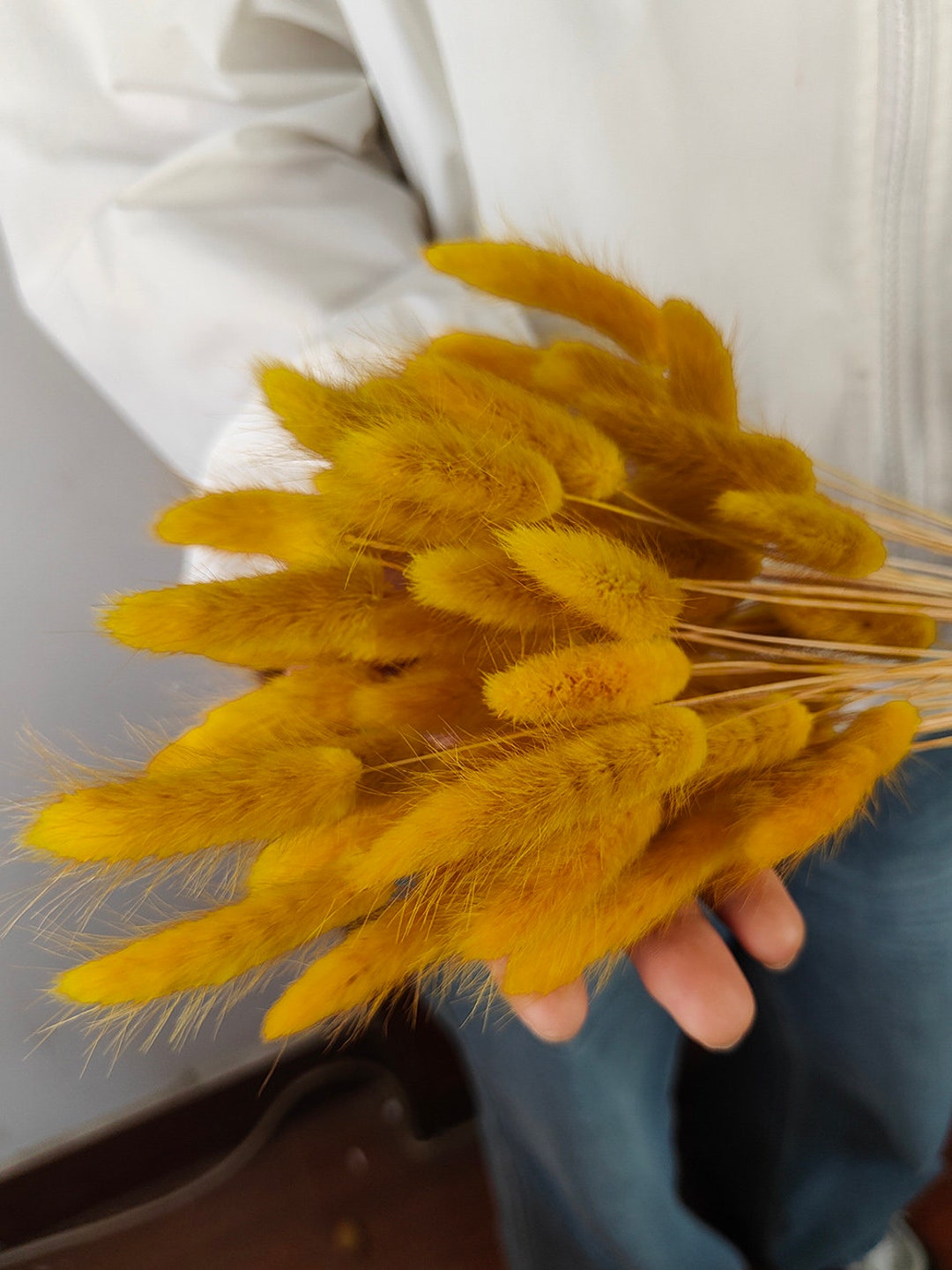 50 Pcs Dry Mustard Yellow Lagurus Grass ，dried Grass Bunch，diy Craft ...