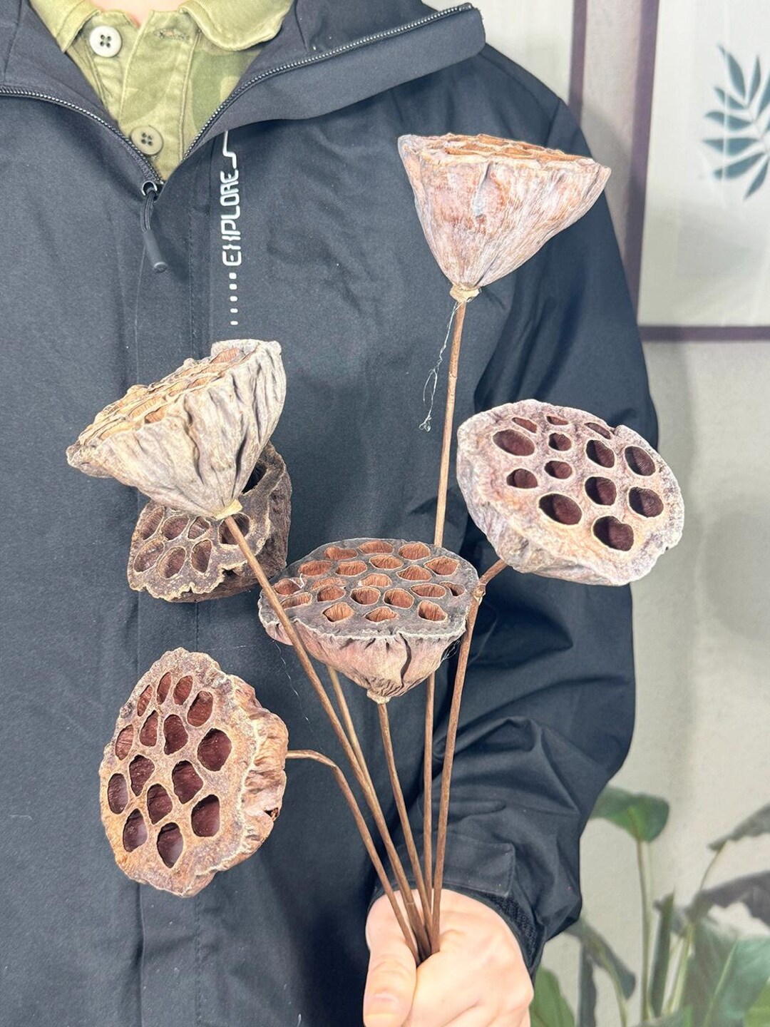 Dried Lotus Pods Stems, Natural Lotus Root,dried Flower Art , Vase ...