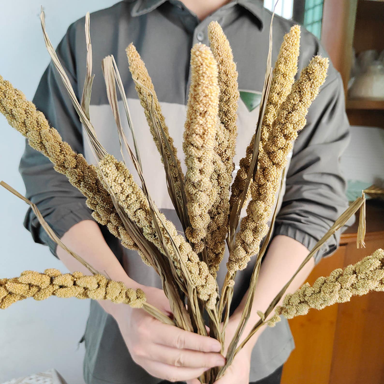 10 Stems Natural Millet Branches，millet Grain，flowers Arrangement，diy ...