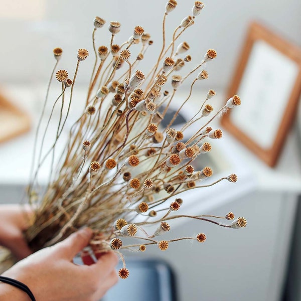 Dried Flowers - Etsy