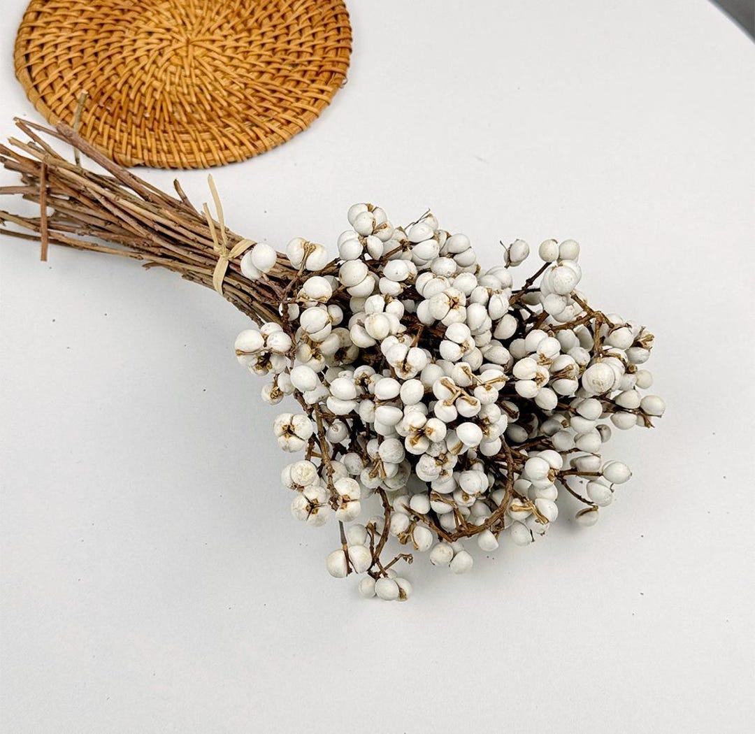 Dried Tallow Berry Bunch，20-25 Sticks，natural Tallow Berries Bundle ...