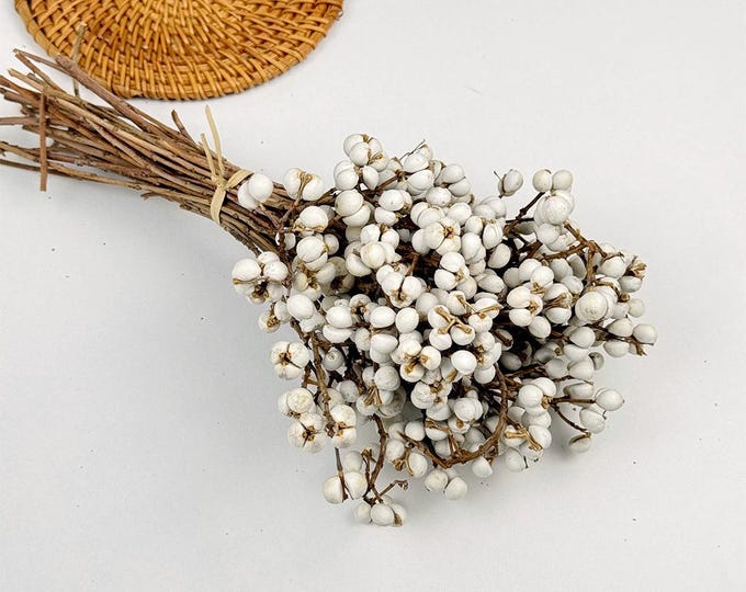 Dried Tallow Berry Bundle - Tallowberries - Cream - Natural Decor ...