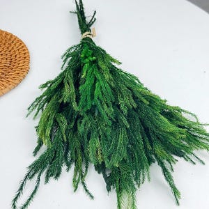 Preserved Lycopodium Grass Bundle，dried Grass Bunch，diy Craft Grass ...