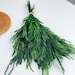 Preserved Lycopodium Grass Bundle，dried Grass Bunch，diy Craft Grass ...