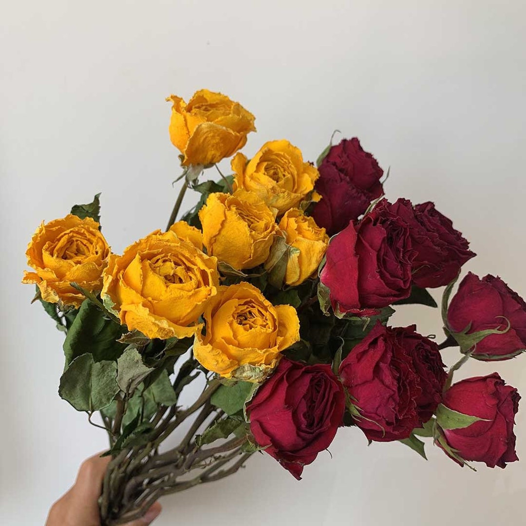 3 Type Dried Rose Bunch，natural Rose Flowers With Stems，dried Flowers ...