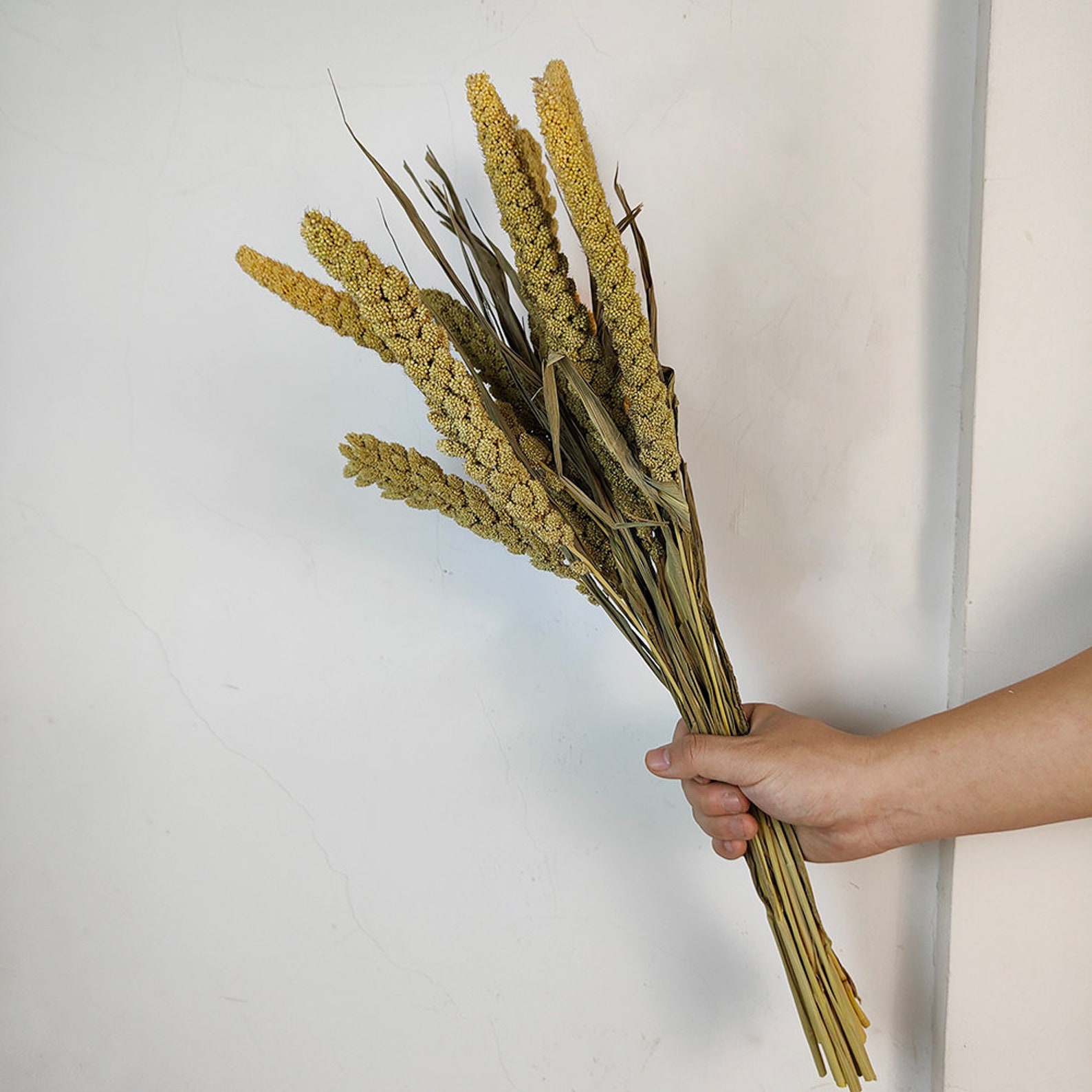 10 Stems Natural Millet Branches，millet Grain，flowers Arrangement，diy ...
