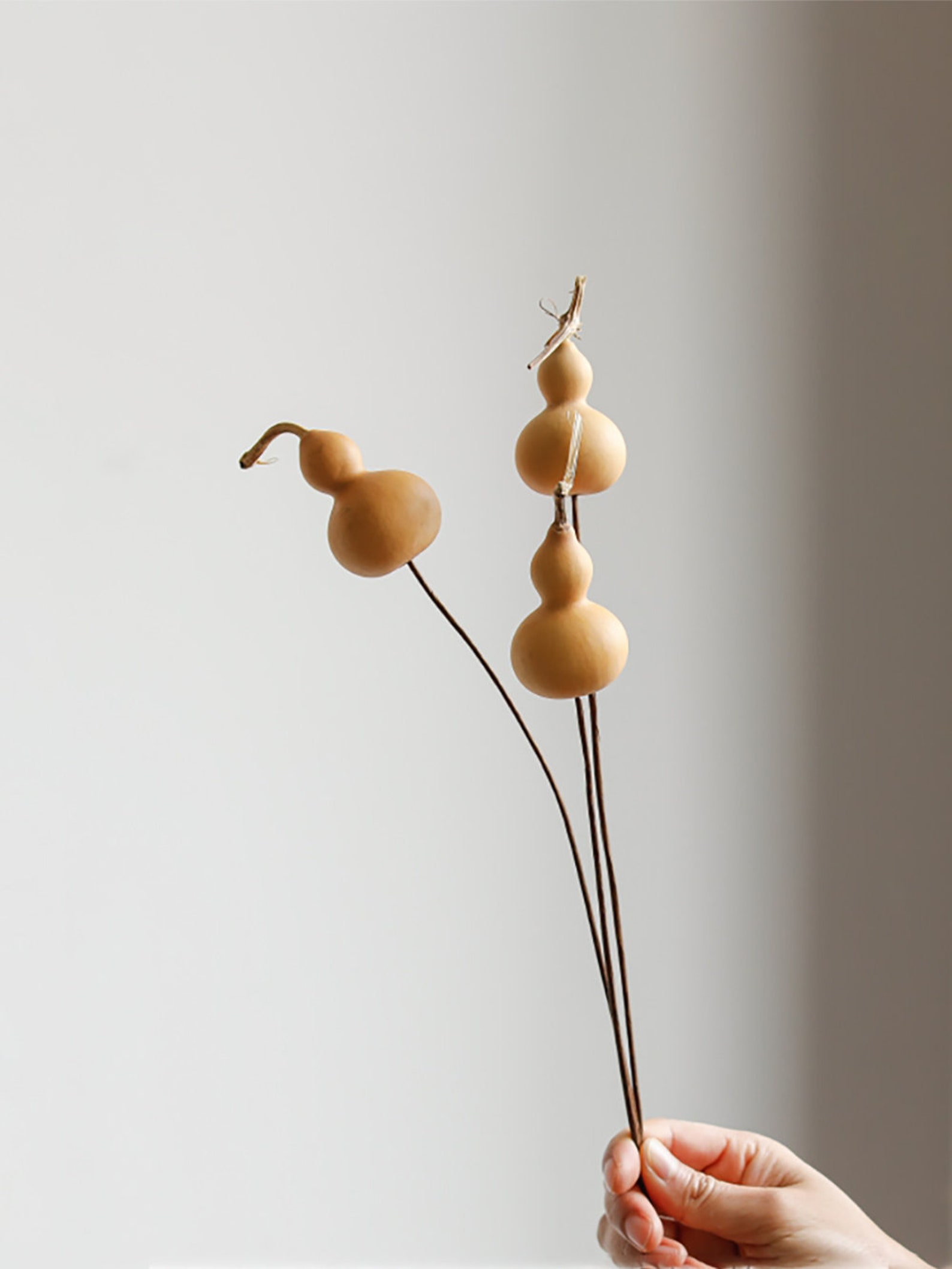 10PCS Natural Dry Gourds , Mini Gourds Martin House，great Lovely Garden ...
