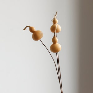 10PCS Natural Dry Gourds , Mini Gourds Martin House，great Lovely Garden ...