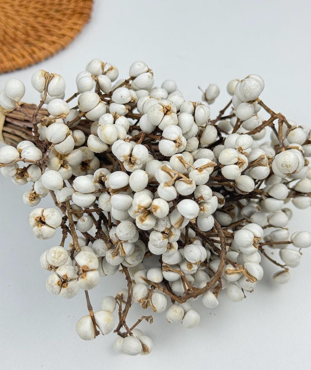 Dried Tallow Berry Bunch，20-25 Sticks，natural Tallow Berries Bundle ...