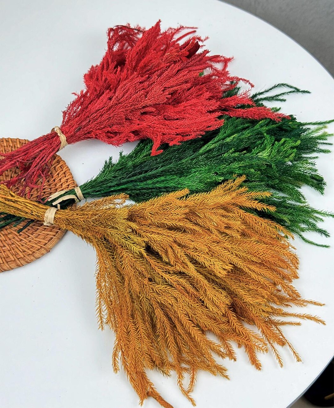 3 Color Preserved Lycopodium Grass Bundledried Natural Grass Bunchdiy ...