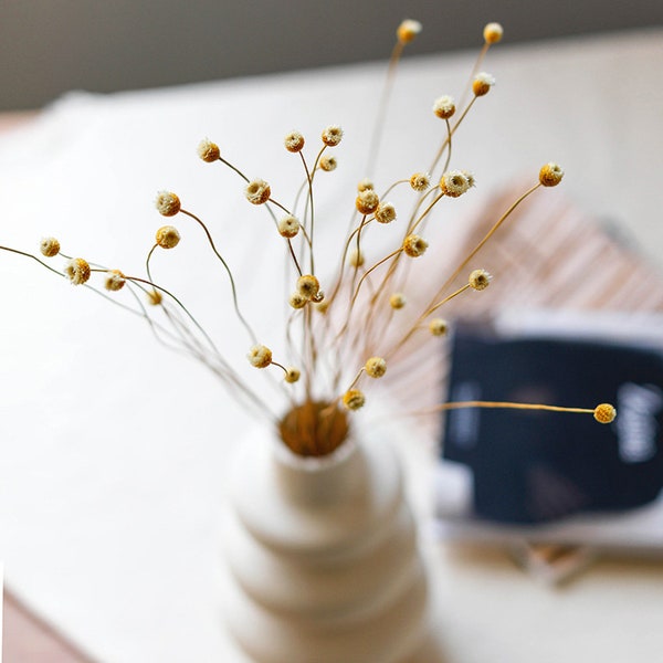 Sticks for Vase - Etsy