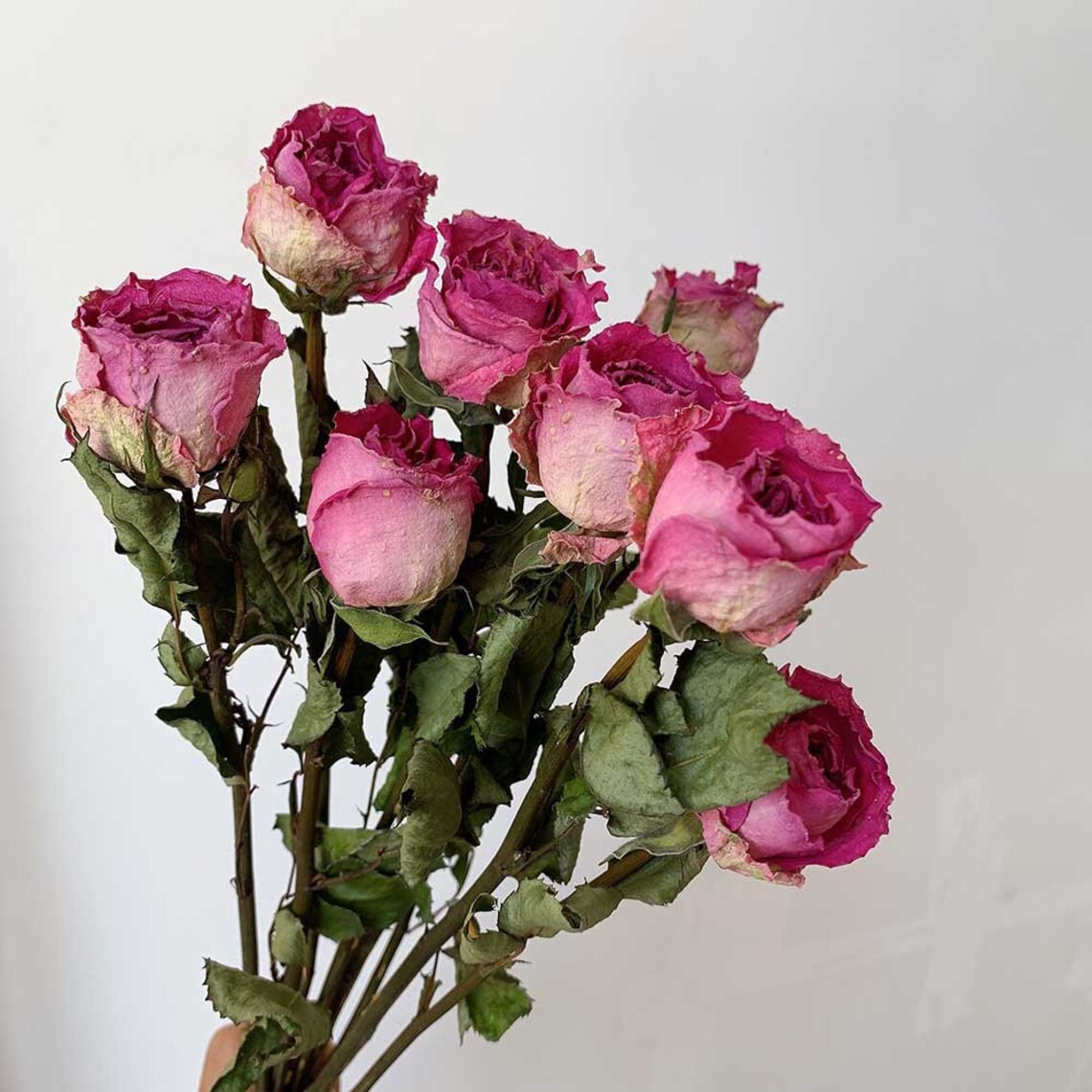 3 Type Dried Rose Bunchnatural Rose Flowers With Stemsdried - Etsy